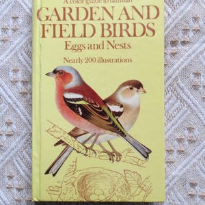 Vintage Bird Guide A Color Guide to Familiar Garden and Field Birds ...