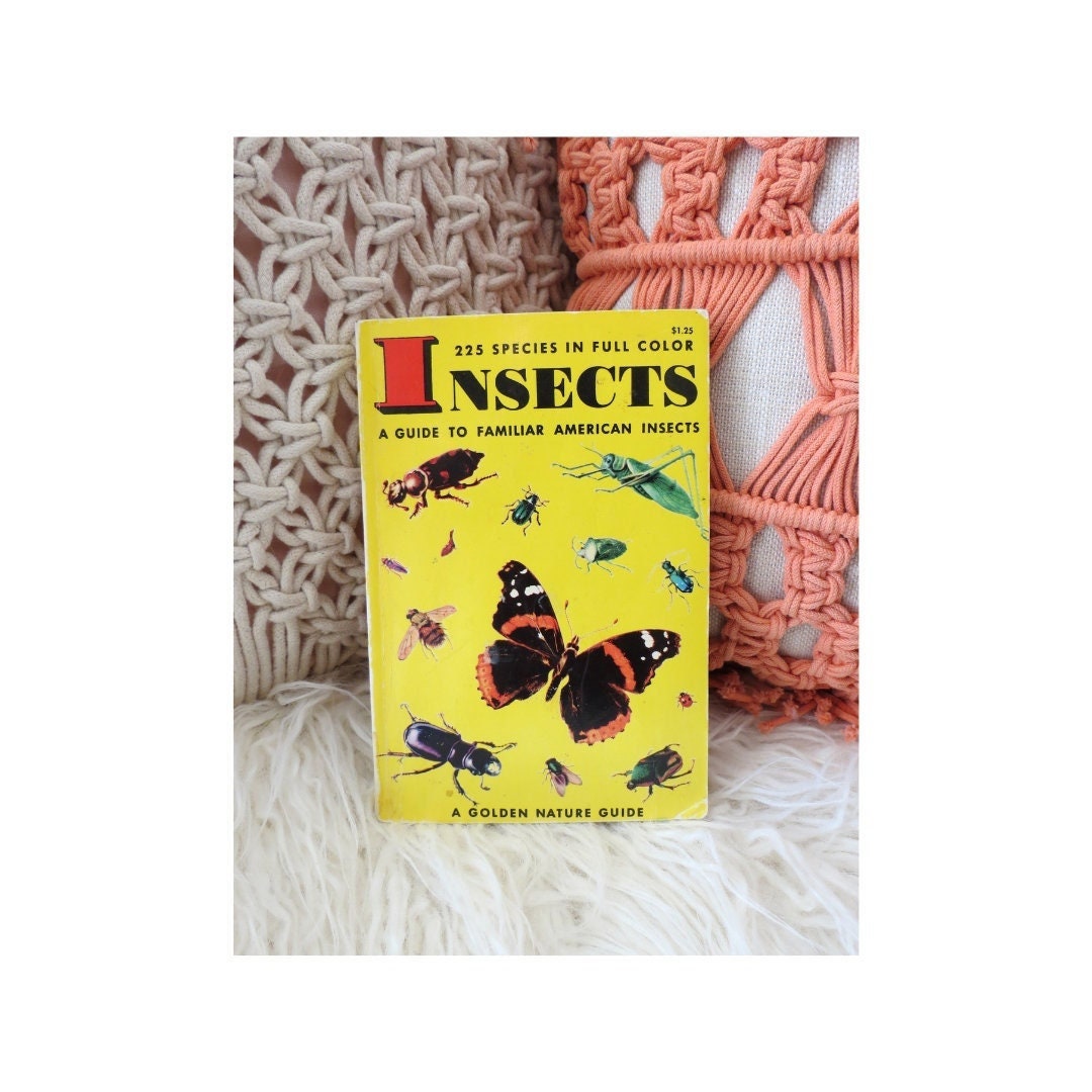 Vintage Insects Golden Guide- Book A Guide to Familiar American Insects ...