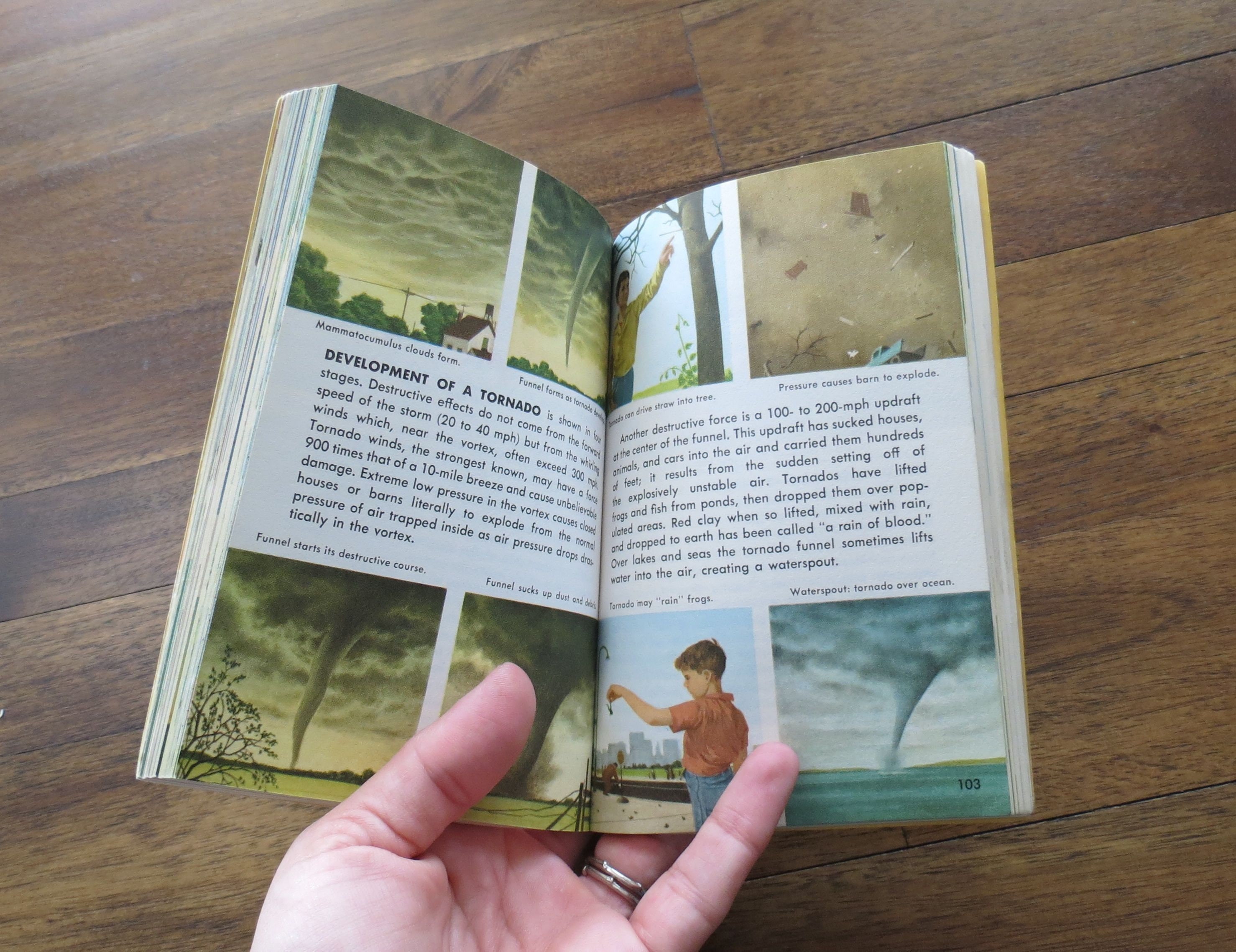 Golden weather - vikolbangkok