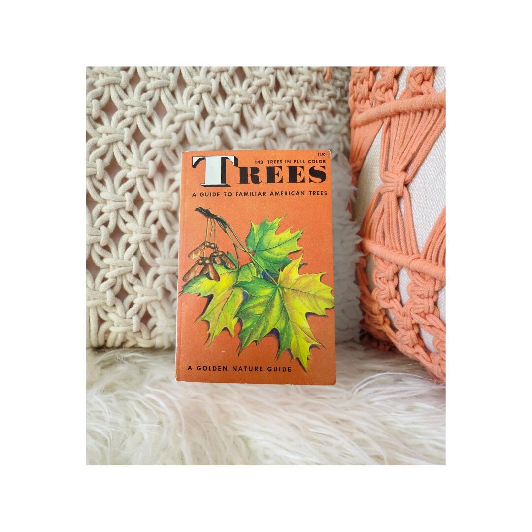 Vintage Trees Book - Golden Nature Guide Paperback Field Identification ...