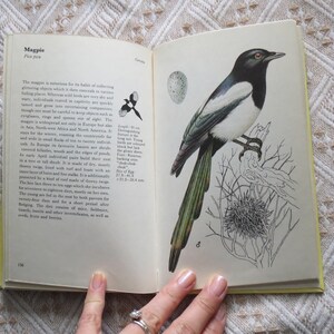 Vintage Bird Guide A Color Guide to Familiar Garden and Field Birds ...