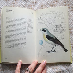 Vintage Bird Guide A Color Guide to Familiar Garden and Field Birds ...