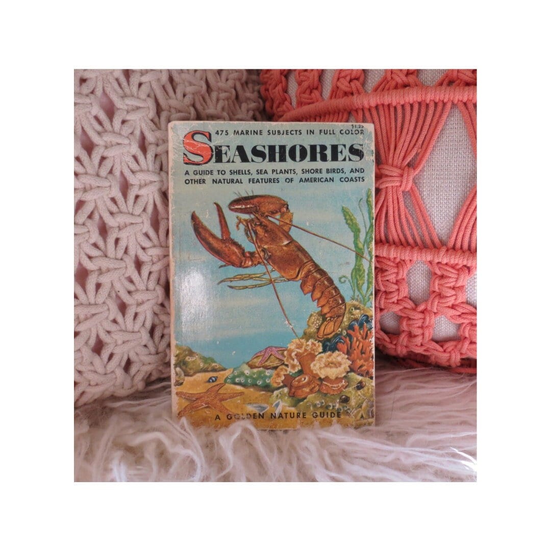 Vintage Seashores Golden Guide Book Shells Sea Plants Shore Birds Ocean ...