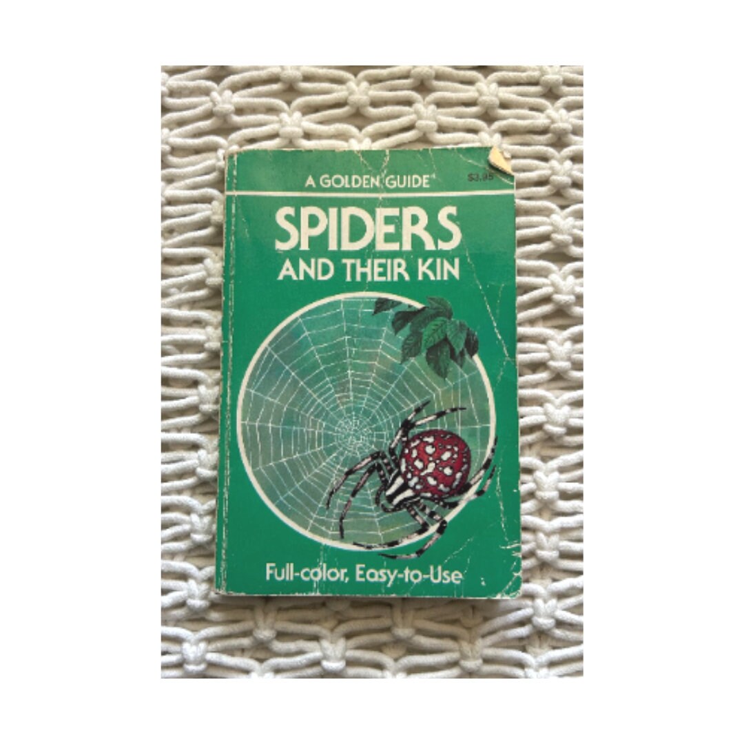 Accessories - Vision Products