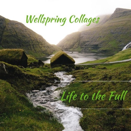 wellspringcollages - Etsy
