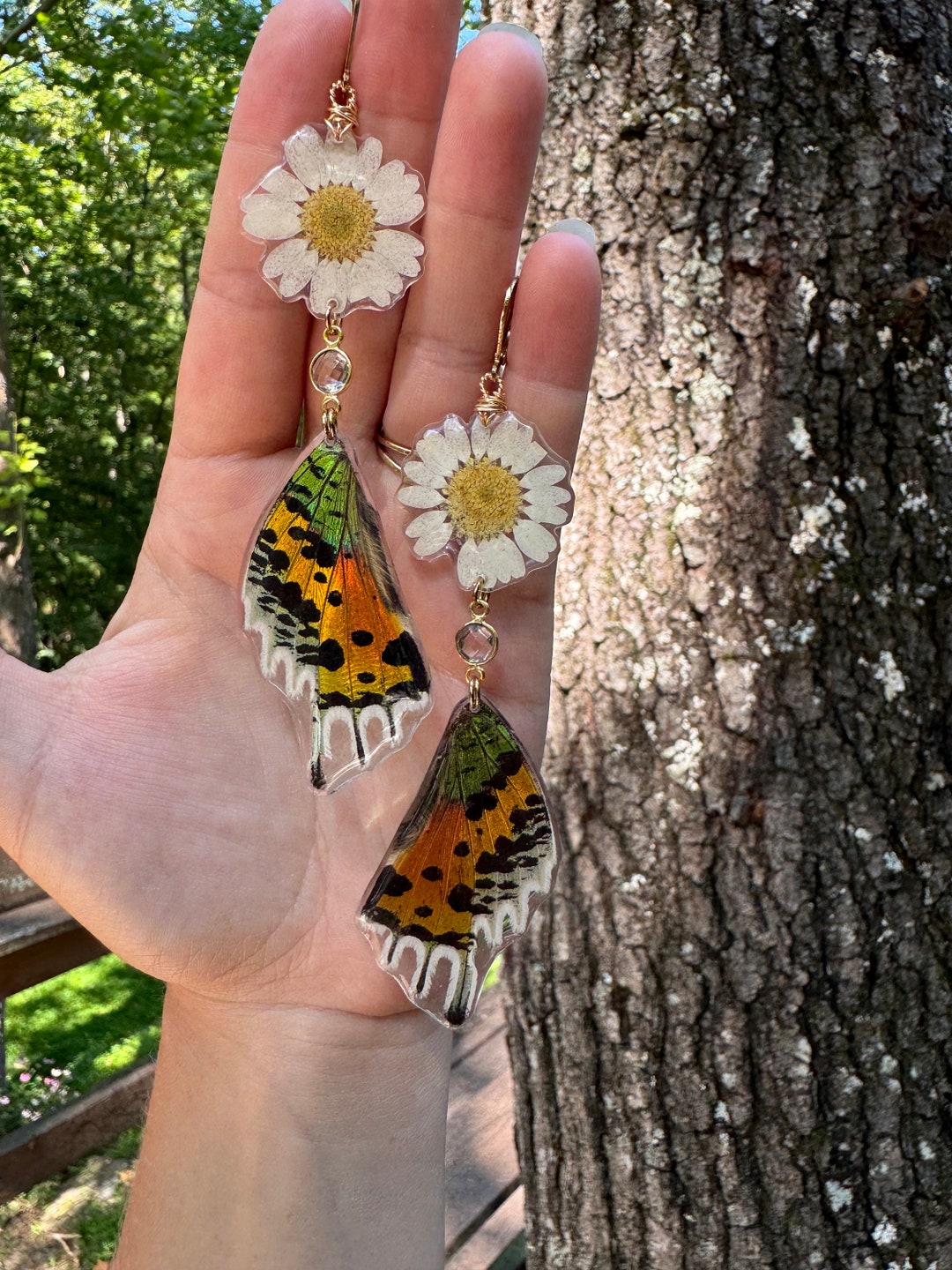 Madagascar Sunset Moth, Daisy, Real Butterfly Wing Earrings, Resin ...