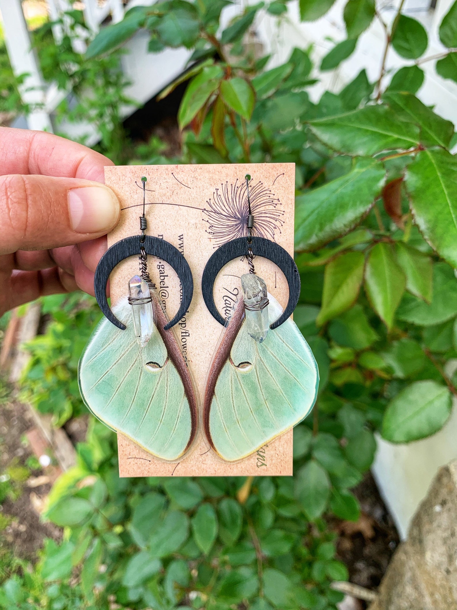 Luna Moth Earrings Real Butterfly Wing Earrings Gold - Etsy