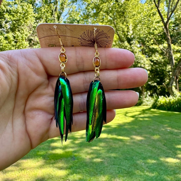Jewel Beetle Wings - Etsy