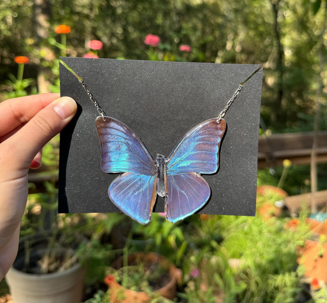 Butterfly Wing Necklace, Silvery-blue MORPHO, Real Insect Wings, Resin ...