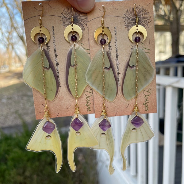 Butterfly Real Wings Earrings - Etsy