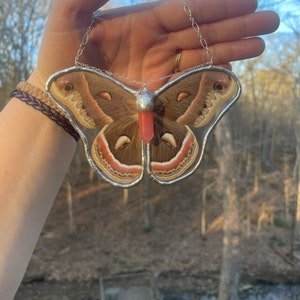 Cecropia Moth Glass Necklace Real Butterfly Wings Cherry - Etsy