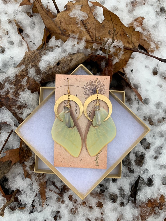 Luna Moth Earrings real butterfly wing earrings gold | Etsy