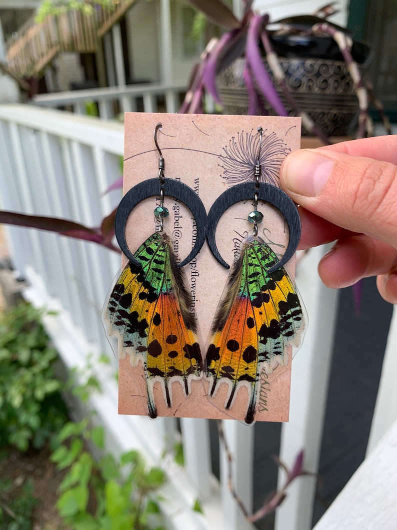 Real Butterfly Wing Earrings Madagascar Sunset Moth Crescent | Etsy