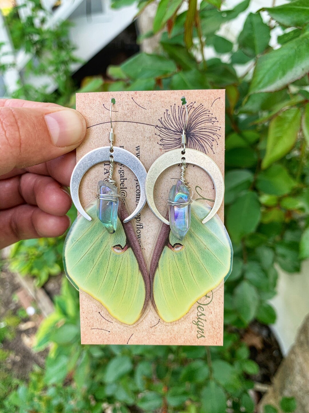 Silver Crescent Moon~ Luna Moth Earrings, Real Butterfly Wing Earrings ...