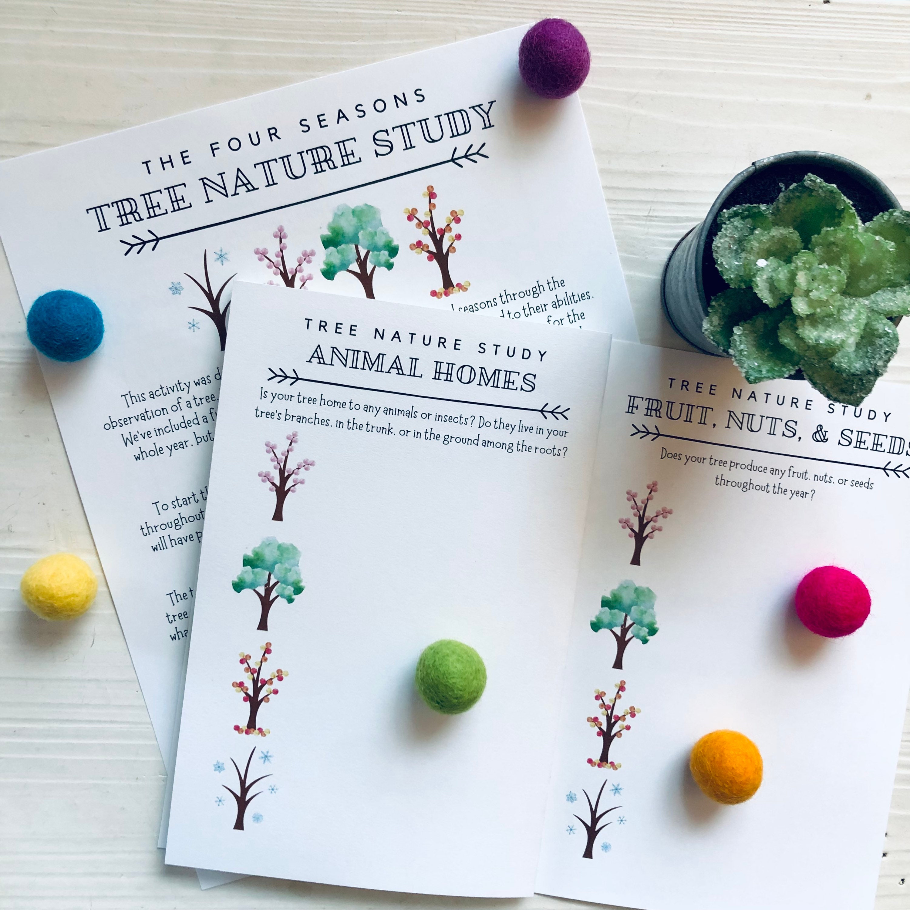 The Four Seasons Activity Pack, Winter, Spring, Summer, Fall/autumn ...