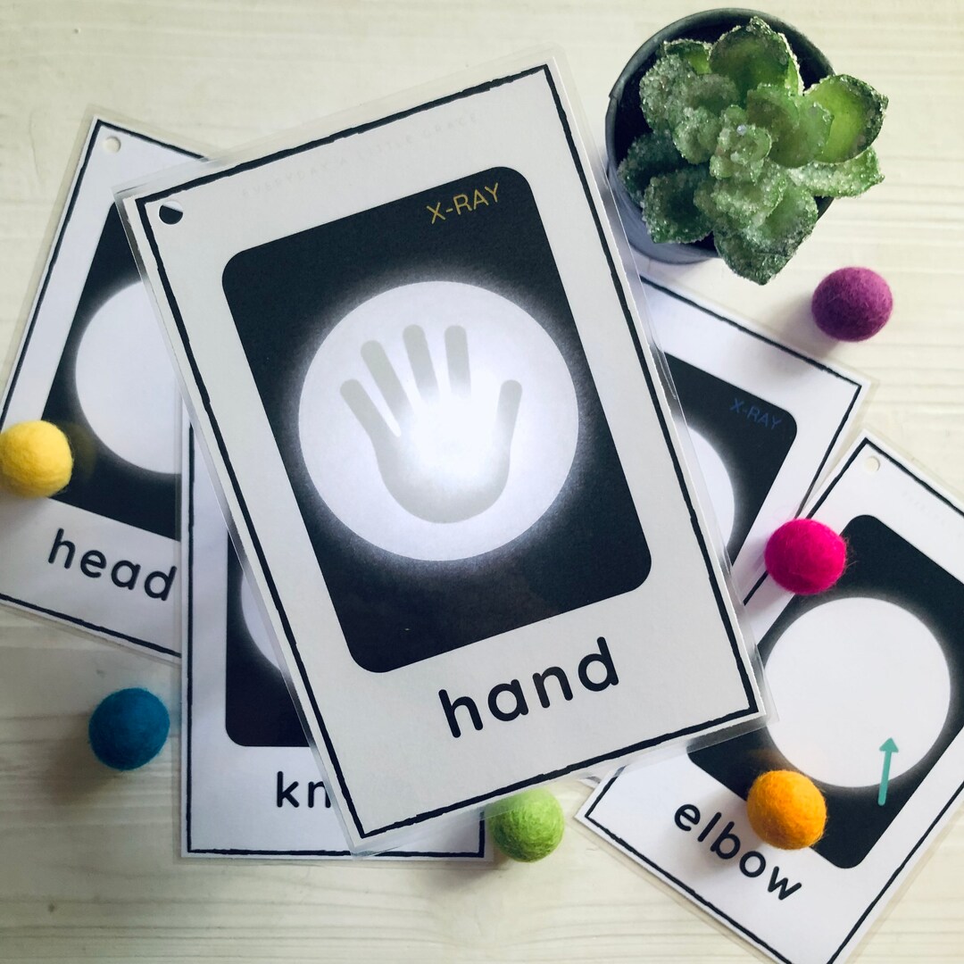 Parts of the Body Flash Cards, Early Learning, Preschool Printables ...