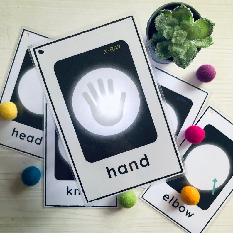 Parts of the Body Flash Cards, Early Learning, Preschool Printables ...