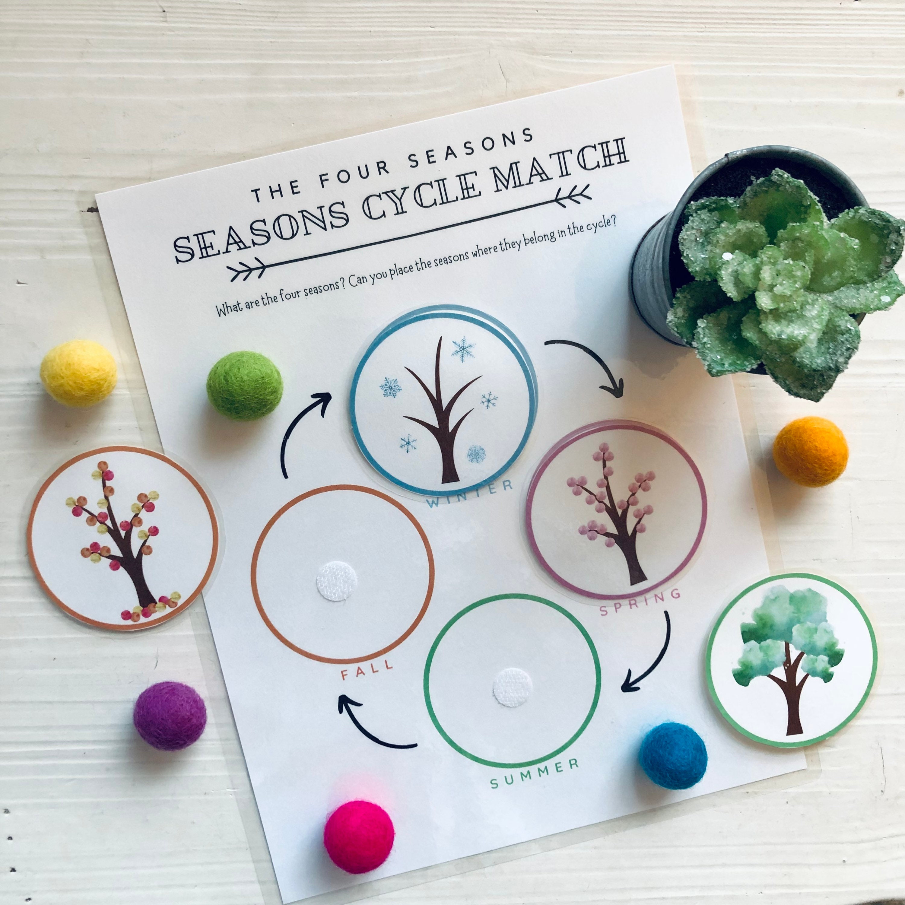 The Four Seasons Activity Pack, Winter, Spring, Summer, Fall/autumn ...