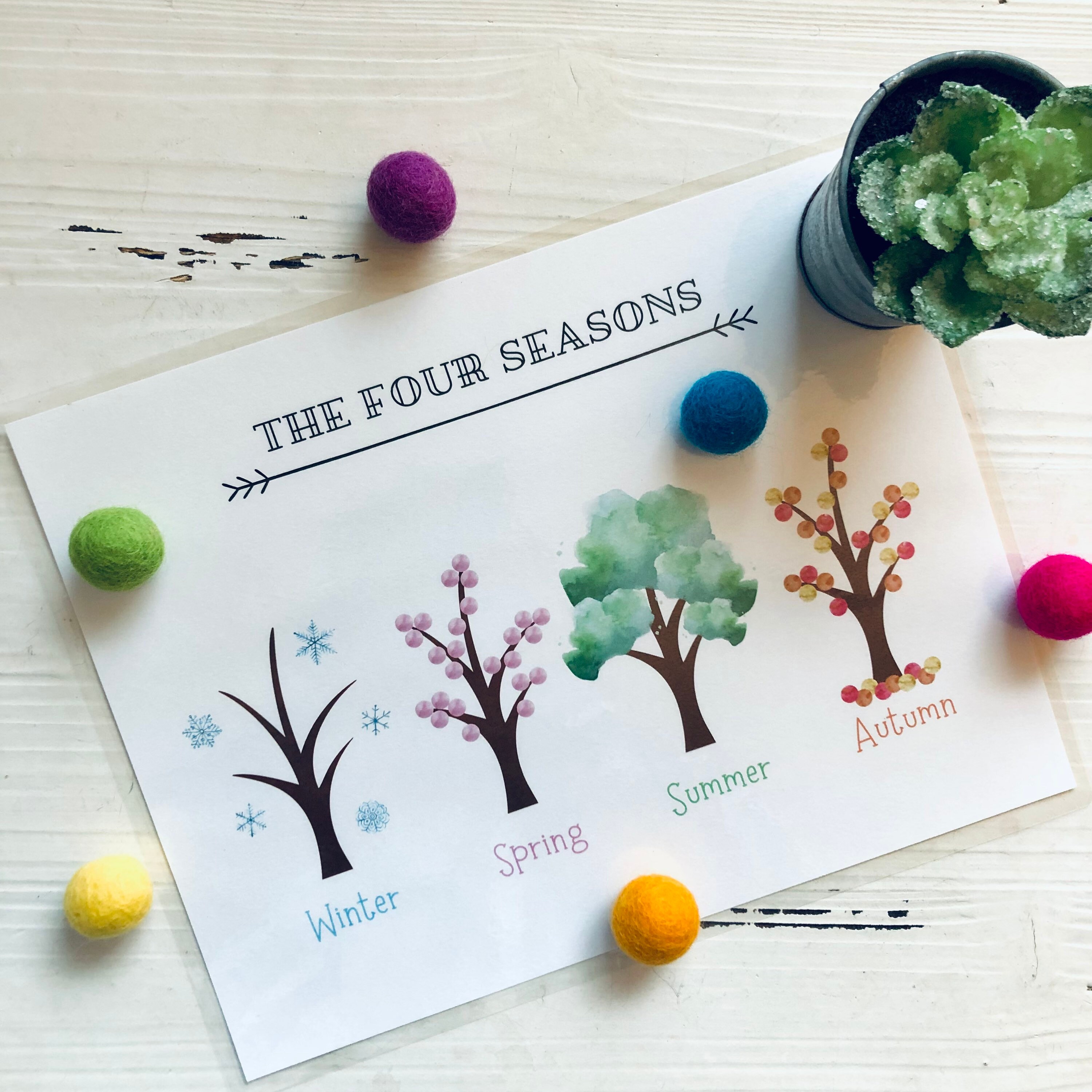 The Four Seasons Activity Pack, Winter, Spring, Summer, Fall/autumn ...
