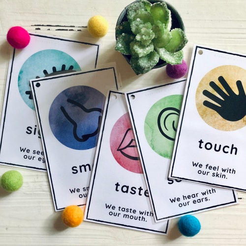 Five Senses Flash Cards Preschool Printable Early Learning - Etsy