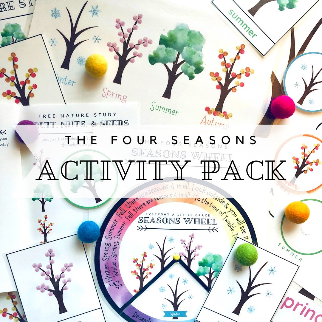 The Four Seasons Activity Pack, Winter, Spring, Summer, Fall/autumn ...