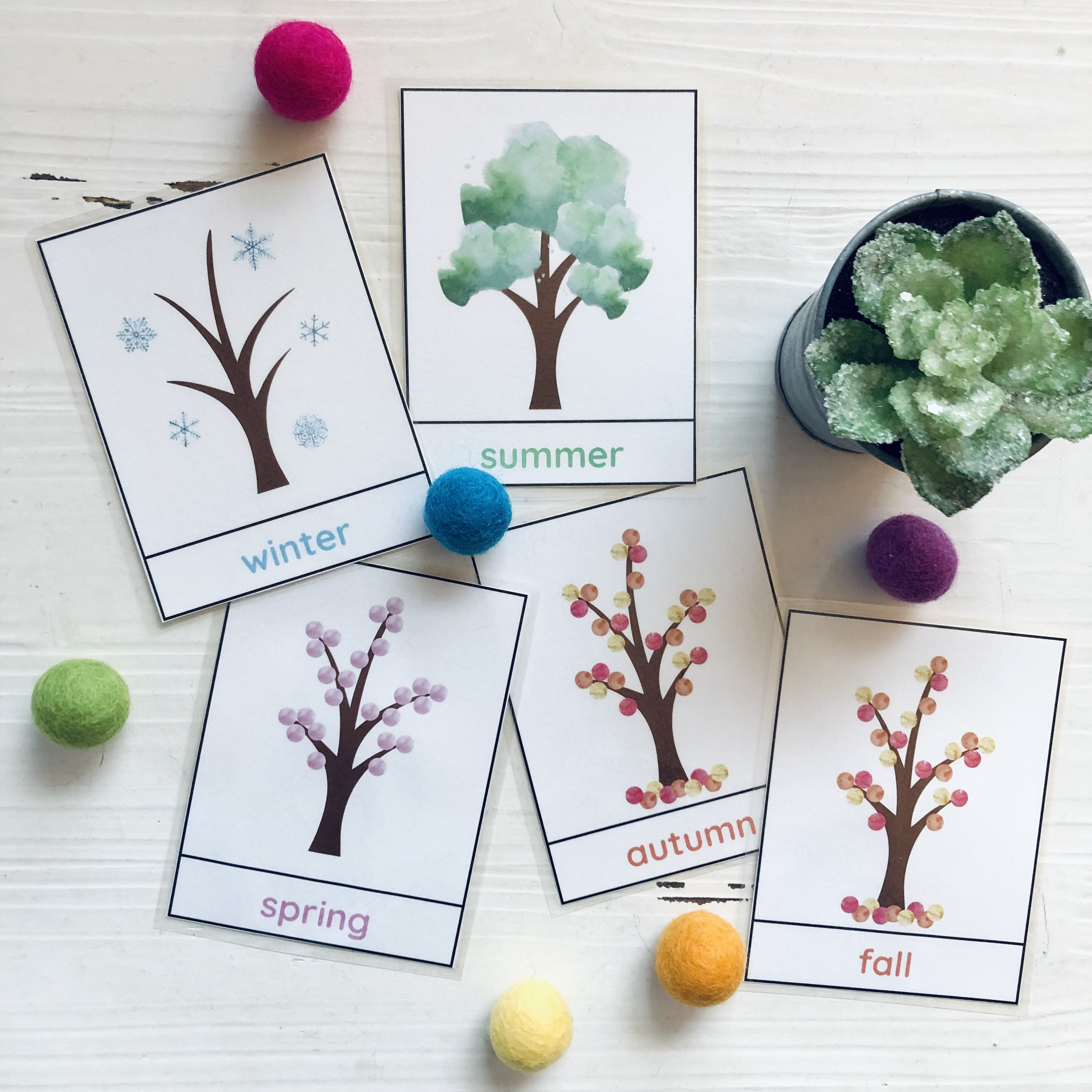 The Four Seasons Activity Pack, Winter, Spring, Summer, Fall/autumn ...