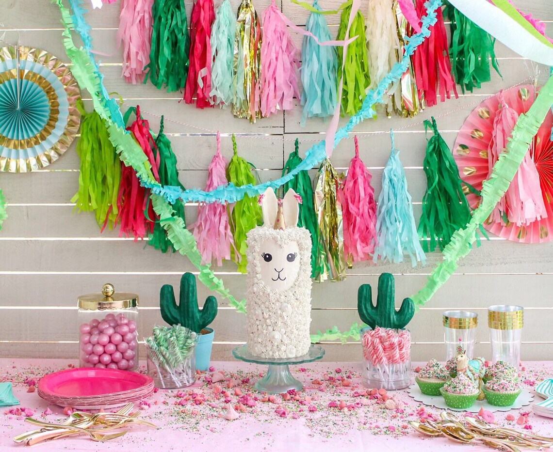 Tassle Backdrop Photo Backdrop 2 strand fring backdrop | Etsy