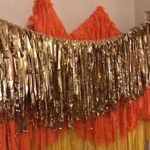 All Mylar Gold and Silver Mylar Fringe Backdrop, Party Backdrop ...