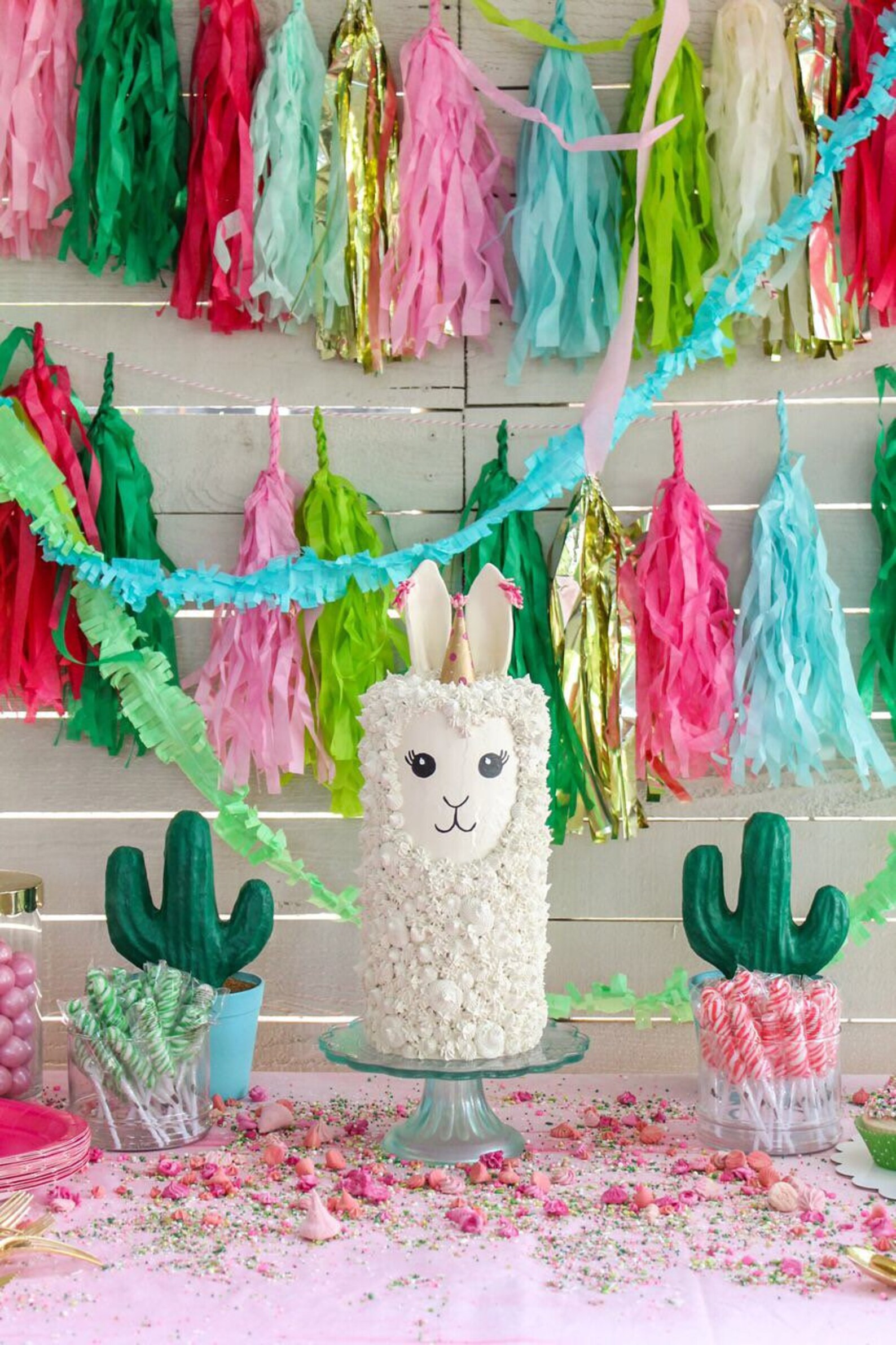 Tassle Backdrop Photo Backdrop 2 Strand Fring Backdrop - Etsy