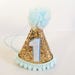Birthday Party Hat Boy Birthday Party Hat First Birthday - Etsy