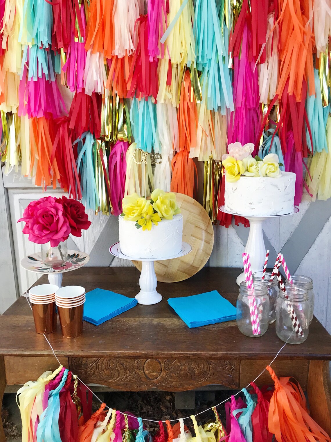 Fringe Photo Backdrop Tassel Backdrop Tassle Backdrop 4-8ft | Etsy