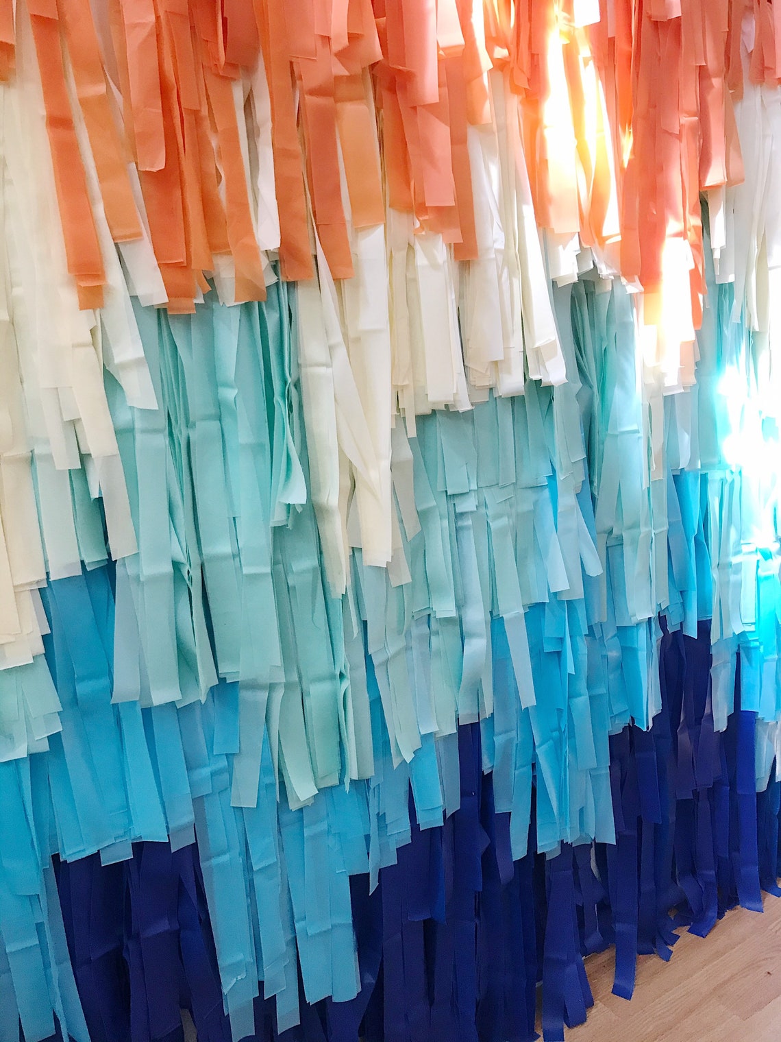 10 Strand Plastic Fringe Backdrop Plastic Streamers Party | Etsy