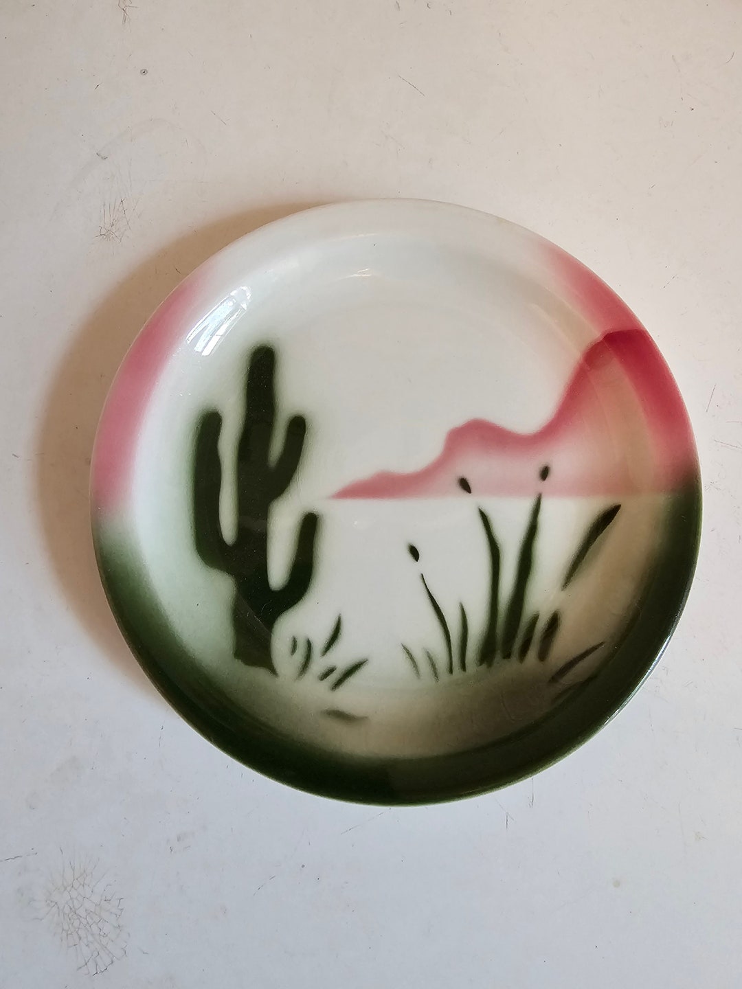 Vintage 1950s Western Saguaro Cactus Jackson Plate - Etsy
