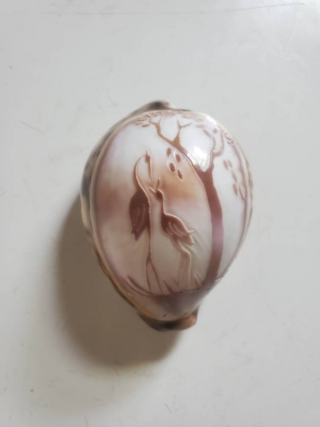 Vintage Storks Carved Cowrie Shell - Etsy