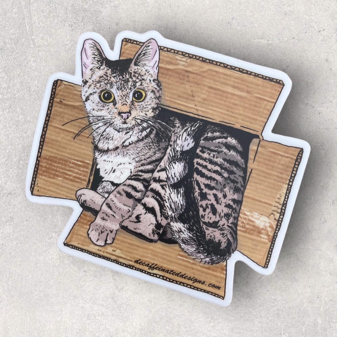 Kitty in a Box- by Decaffeinated Designs 4x4 Inch Vinyl Sticker - Etsy