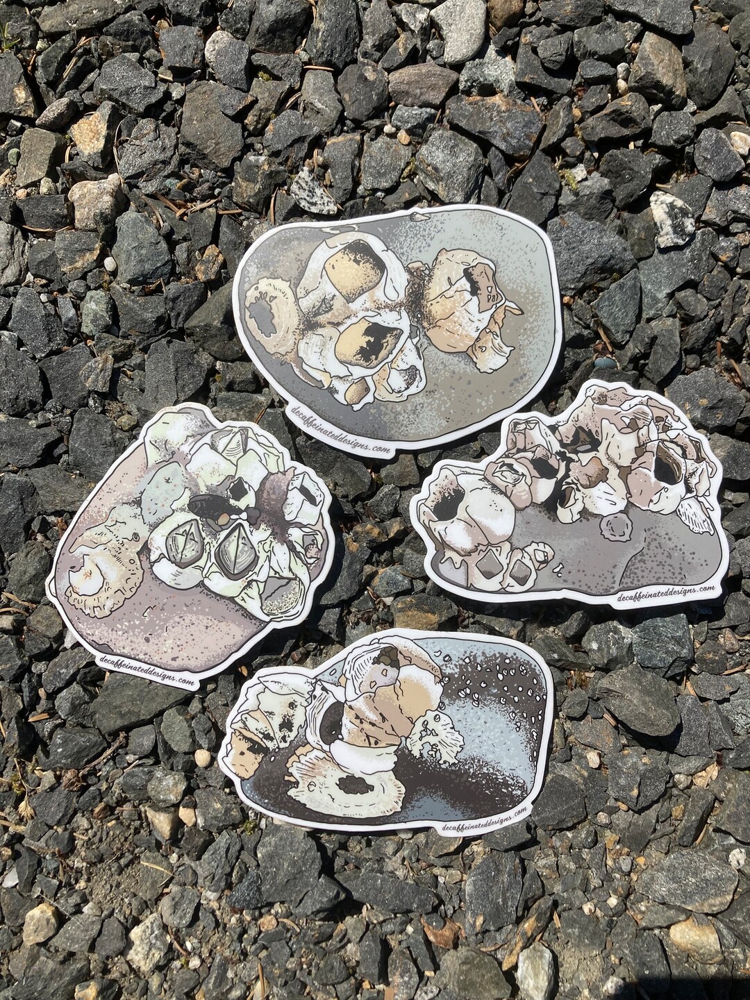 Barnacle Rocks Sticker Pack by Decaffeinated Designs 4x4 Inch Vinyl ...