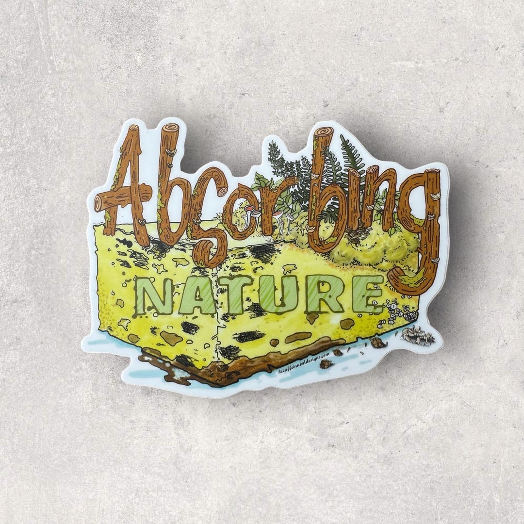Absorbing Nature - 4x4 Clear Vinyl Sticker by Decaffeinated Designs - Etsy