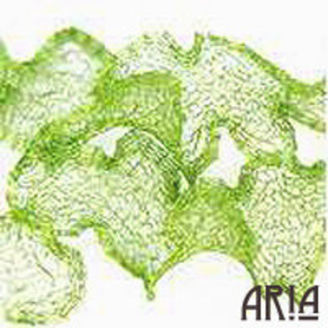 ITALIAN WIRE MESH: 6mm Chartreuse Italian Wire Mesh Ribbon 1 Yard ...