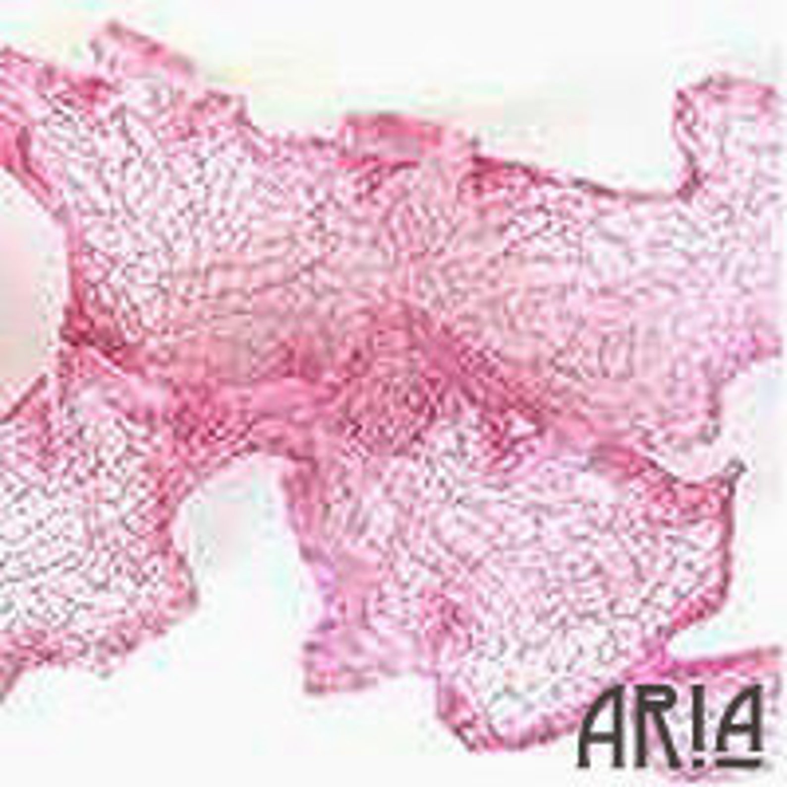 ITALIAN WIRE MESH: 6mm Rose Italian Wire Mesh Ribbon 1 Yard Length (3 ...