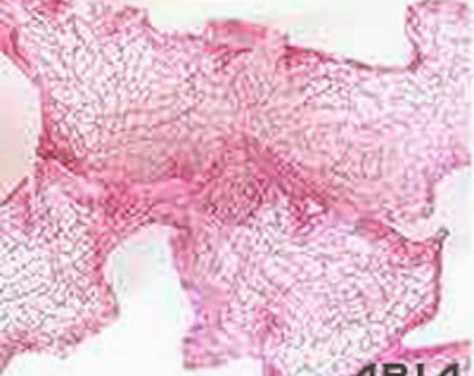 This item is unavailable | Etsy