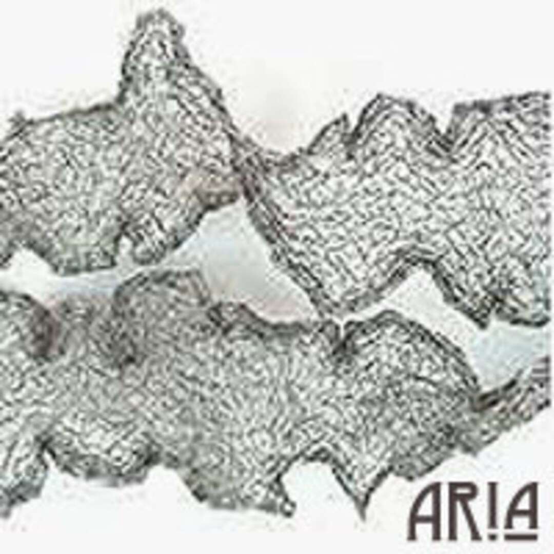 ITALIAN WIRE MESH: 6mm Gunmetal Italian Wire Mesh Ribbon 3 Yard Spool ...