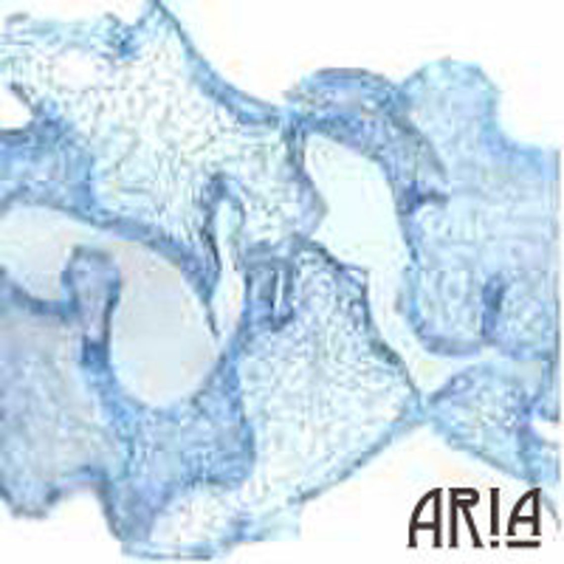 ITALIAN WIRE MESH: 6mm Sapphire Italian Wire Mesh Ribbon 1 - Etsy