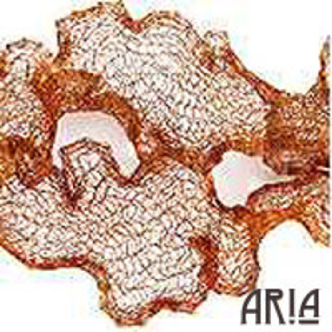 ITALIAN WIRE MESH: 6mm Rust Italian Wire Mesh Ribbon 1 Yard Length (3 ...