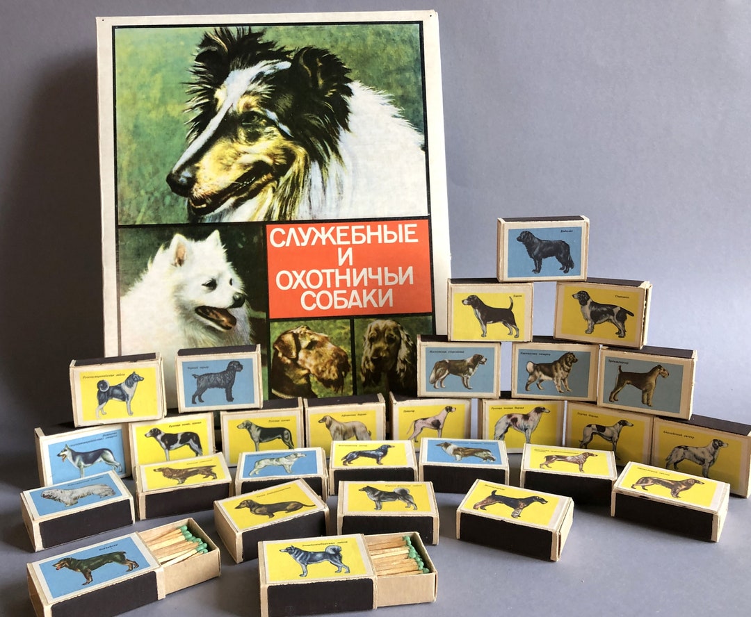 Vintage Soviet Dog Matchboxes, USSR Memorabilia (28 Boxes) - Etsy