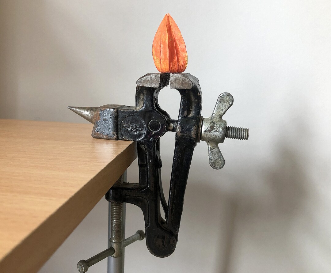 Vintage Small Bench Vise and Anvil Vintage Vice Jewelers Watchmakers ...