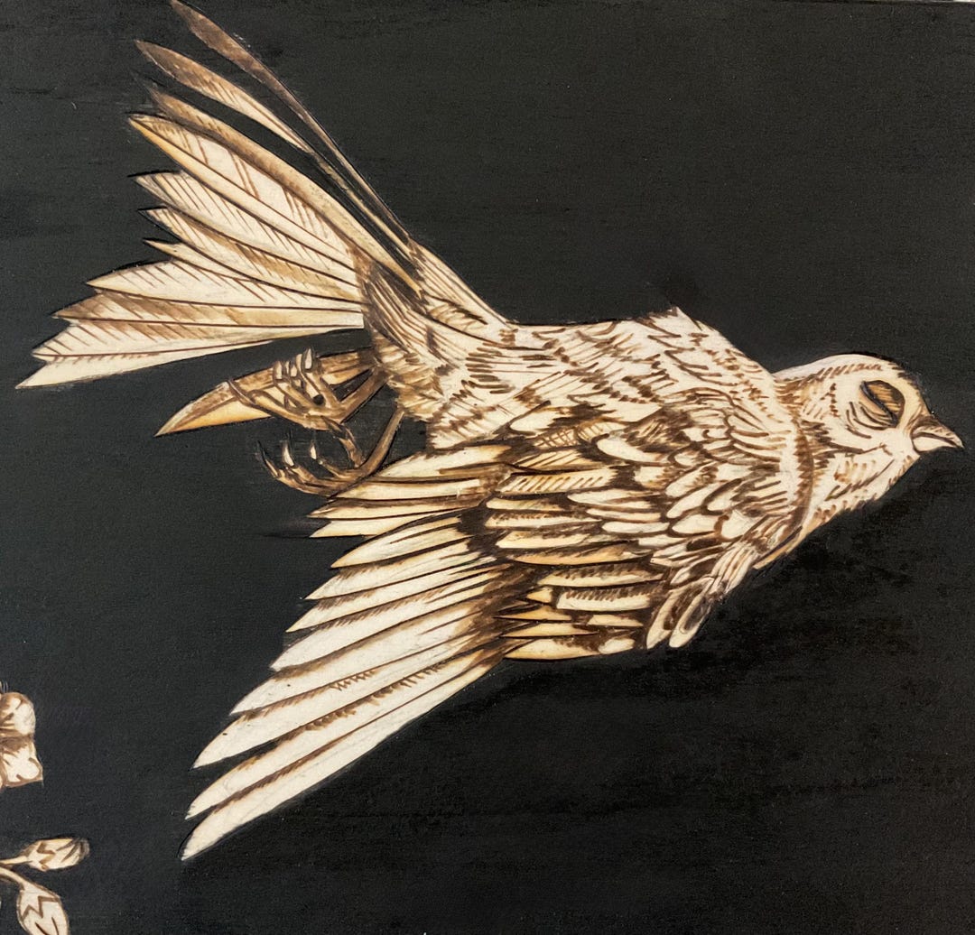 Bird Carcass Lift Lid Box - Etsy