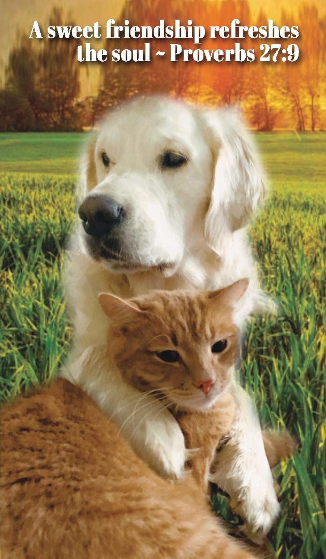 Encouraging Scripture Cards: Dog Set 2 - Christian Gift - Etsy