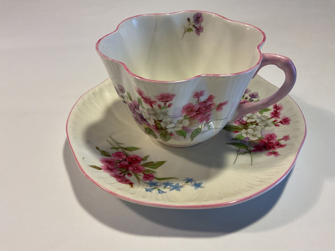 SHELLEY CUP and Saucer. Fine Bone China England. Oleander Vintage Set ...