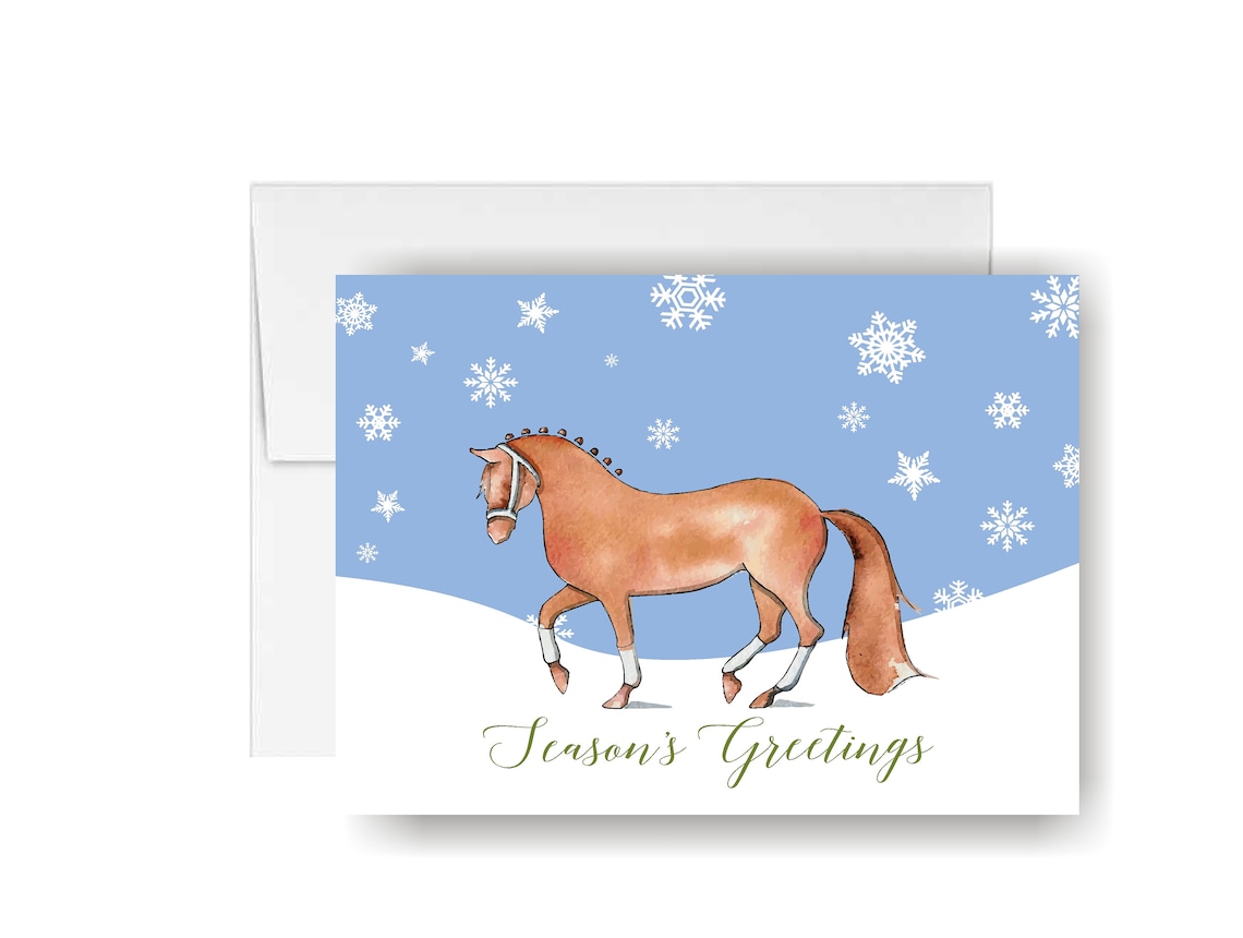 Horse Christmas Card Set Horse Holiday Card Set Equine - Etsy