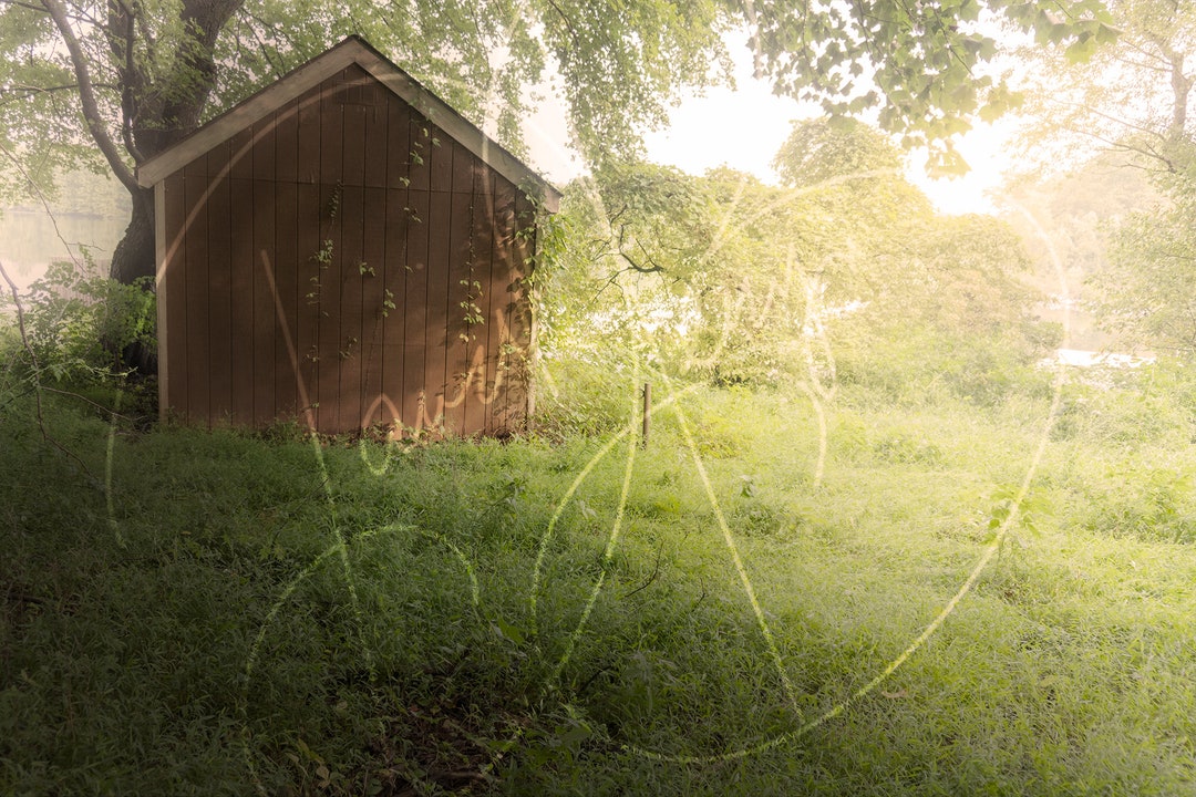 Morning Shed Digital - Etsy